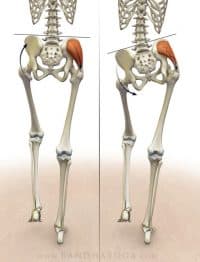 ACUPUNCTURE FOR HIP PAIN: Sports Medicine Acupuncture Approach
