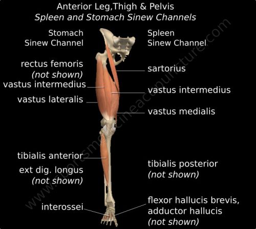 Channel Imbalances Associated with Patellofemoral Syndrome