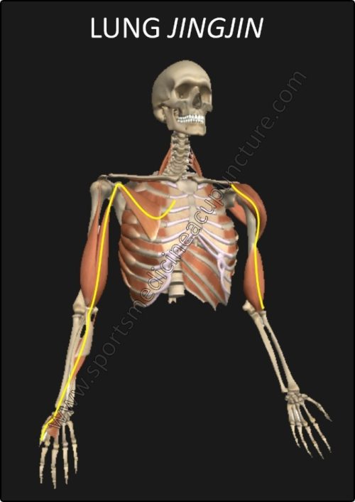 Patient Self-Care for Balancing the Lung Sinew Channel (Jingjin ...